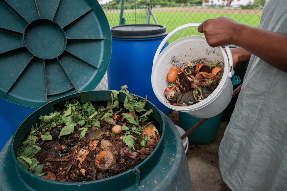 Global organic waste management solution market set for rapid growth ...