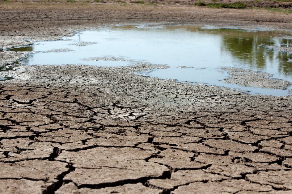 1 billion hectares of degraded farmland and the practice of reclaiming ...