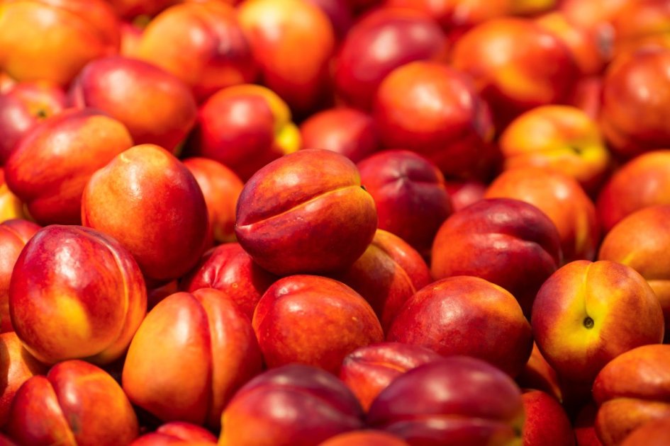 Stone fruit prices slide across Europe as peak-season supplies hit ...