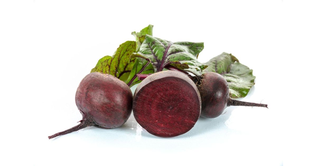 ΠΑΝΤΖΑΡΙΑ - ΜΑΡΑΘΩΝΑΣ - Wikifarmer