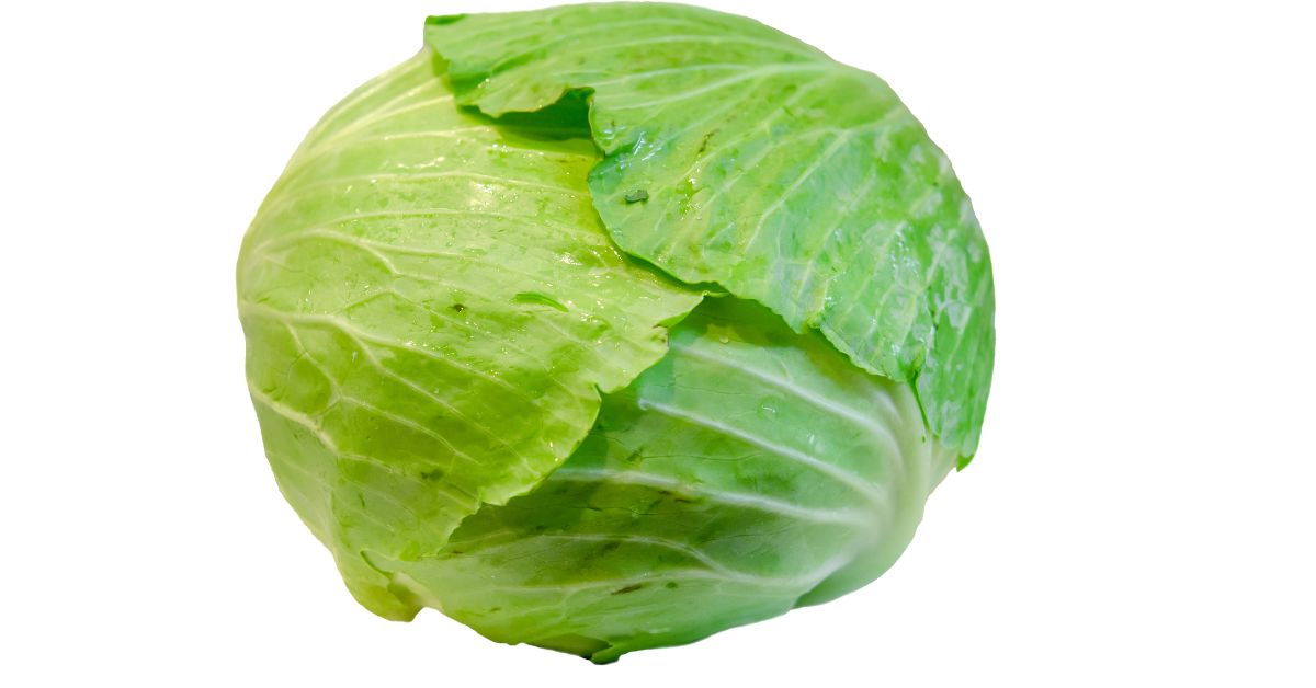 Cabbages 1 kg - kilkis - Wikifarmer
