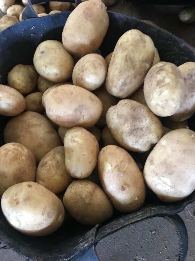 Potatoes Spunta 25 Kilos - Αthina - Wikifarmer