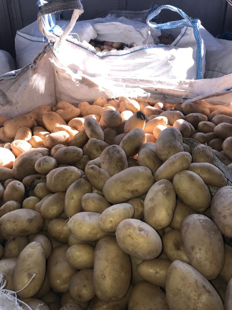 Potatoes Spunta 25 Kilos - Αthina - Wikifarmer