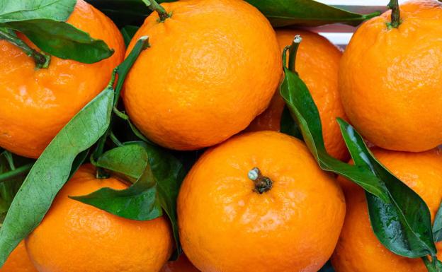 Clemenules mandarin 15 kg - Vinaroz - Wikifarmer