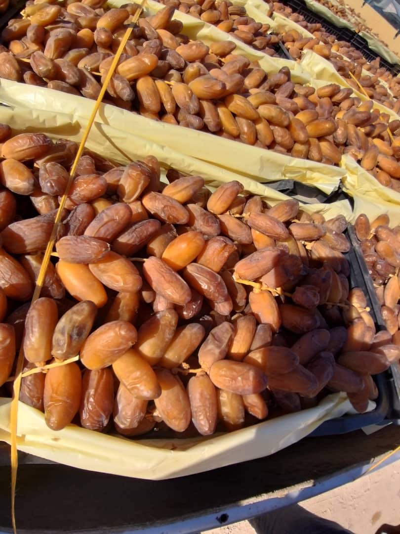 Algerian dates box 1kg - ALGER GARE - Wikifarmer