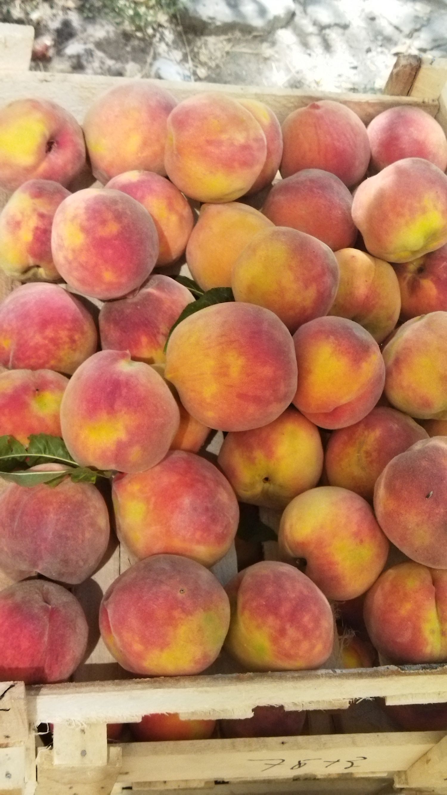 Peaches organic - Бишкек - Wikifarmer
