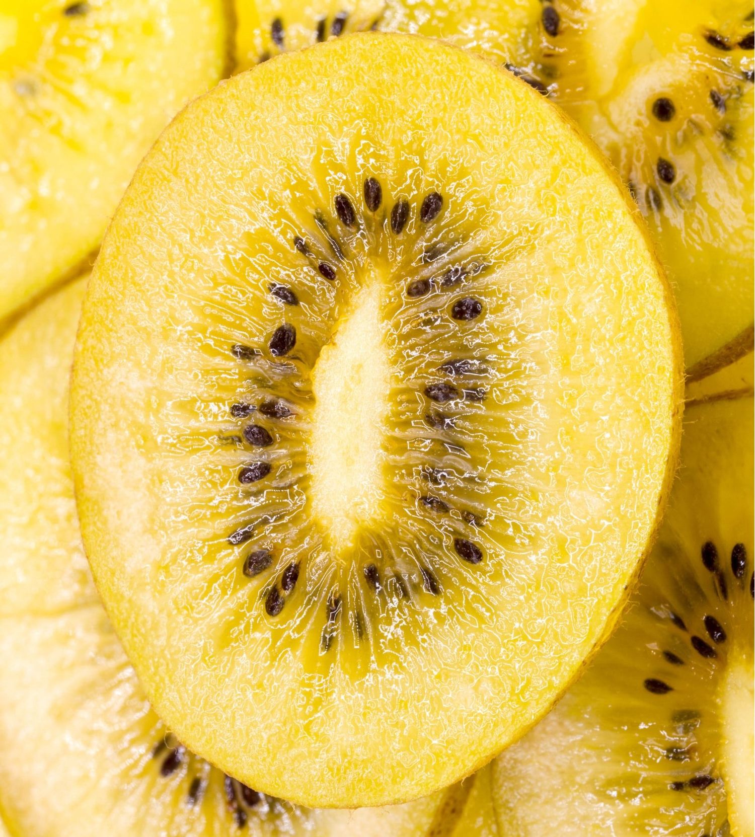 ORGANIC YELLOW KIWI SORELLI 6 KG - Paterna - Wikifarmer