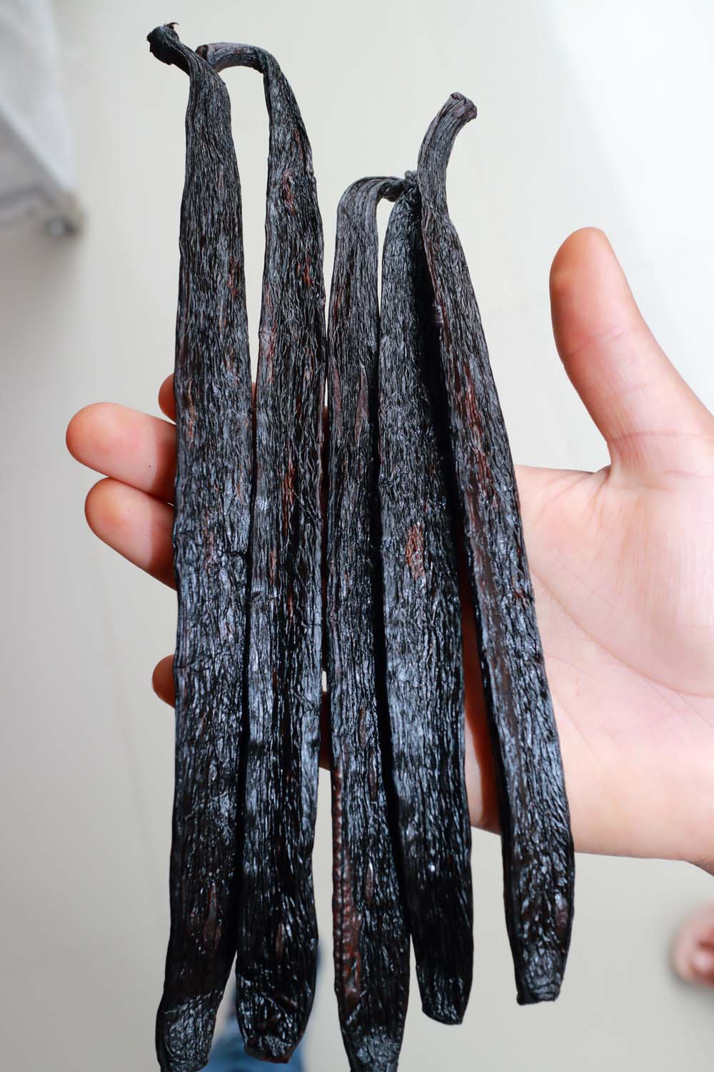 1kg Vanilla Pompona Grandiflora - London - Wikifarmer