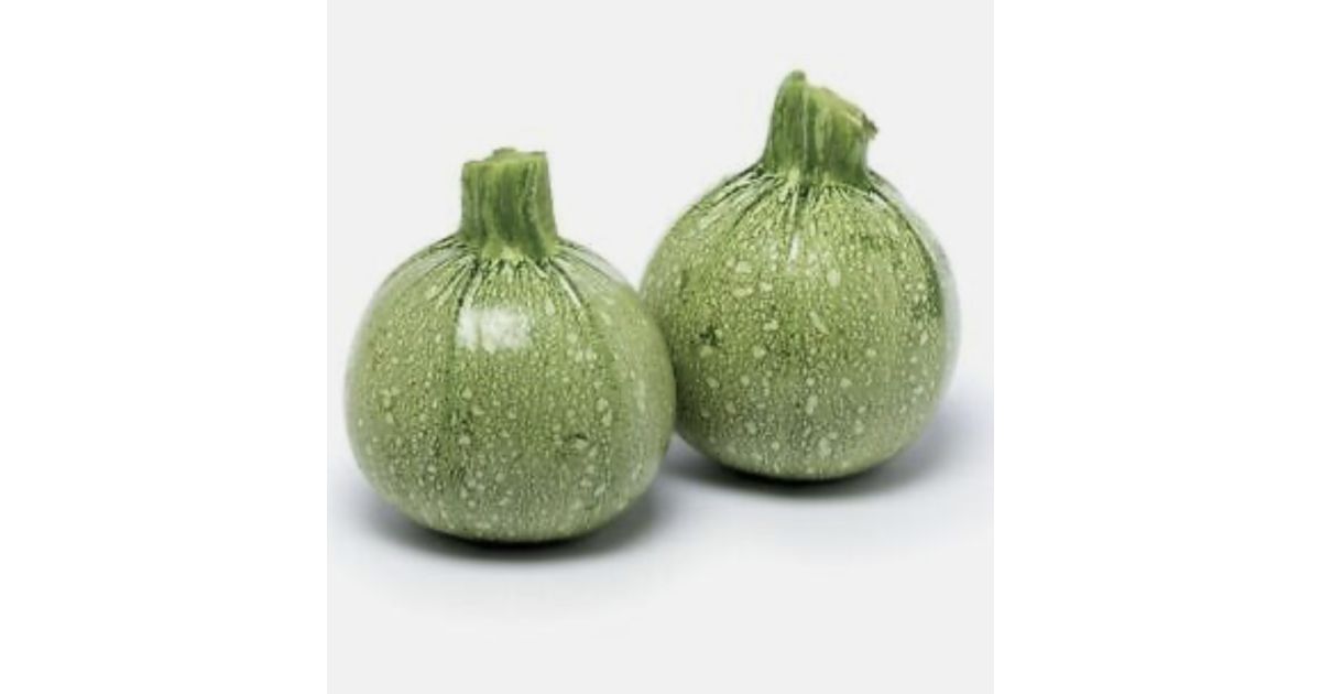 Nice round courgettes 1kg Untreated - Brebbia - Wikifarmer