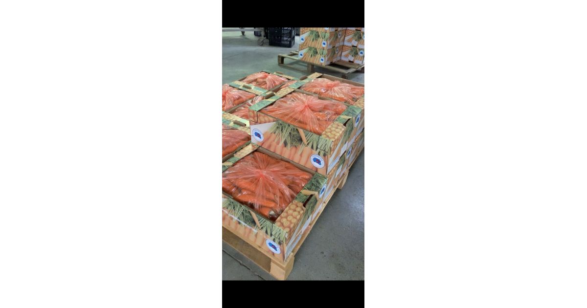 Bulk Carrots in cardboard boxes - 10kg - San Benedetto dei Marsi ...