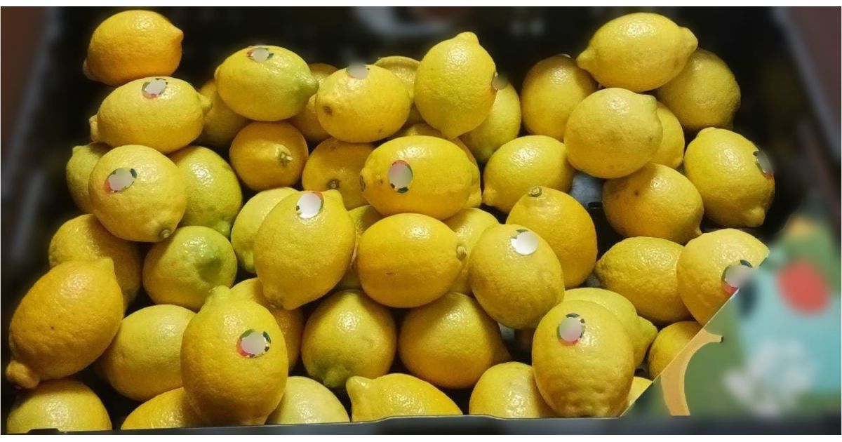 Lemons Primofiori - Cal. 1-2 - Cat. I - 10kg Box - Price Per Kg ...