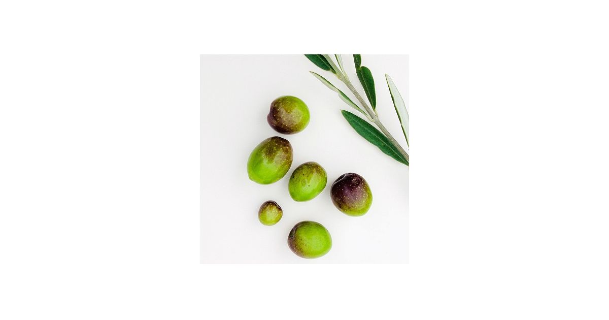 Amfissis/Volos olives (80/100) (6kg Container) - Chalkida - Wikifarmer