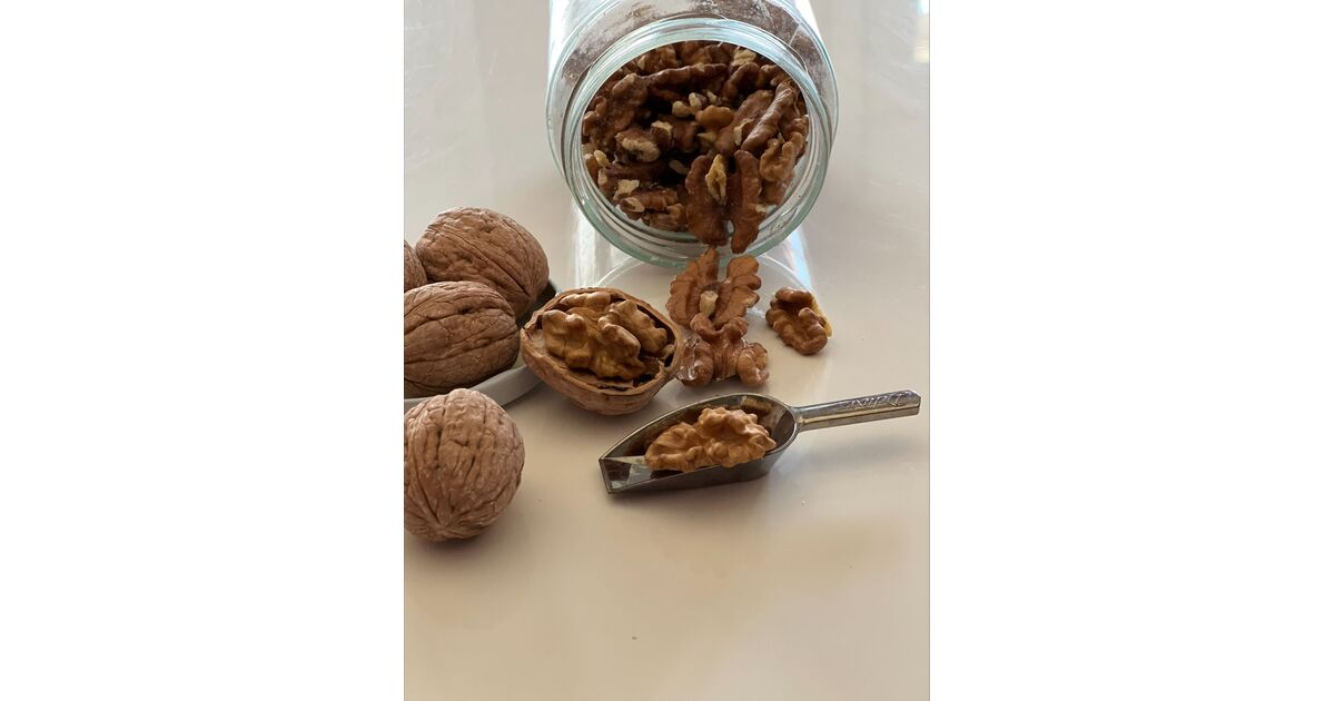 Chandler Walnuts in shell - Katerini - Wikifarmer