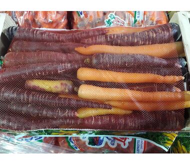 Carrots in Bulk Wholesale Prices | Wikifarmer