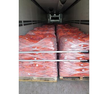 Carrots in Bulk Wholesale Prices | Wikifarmer