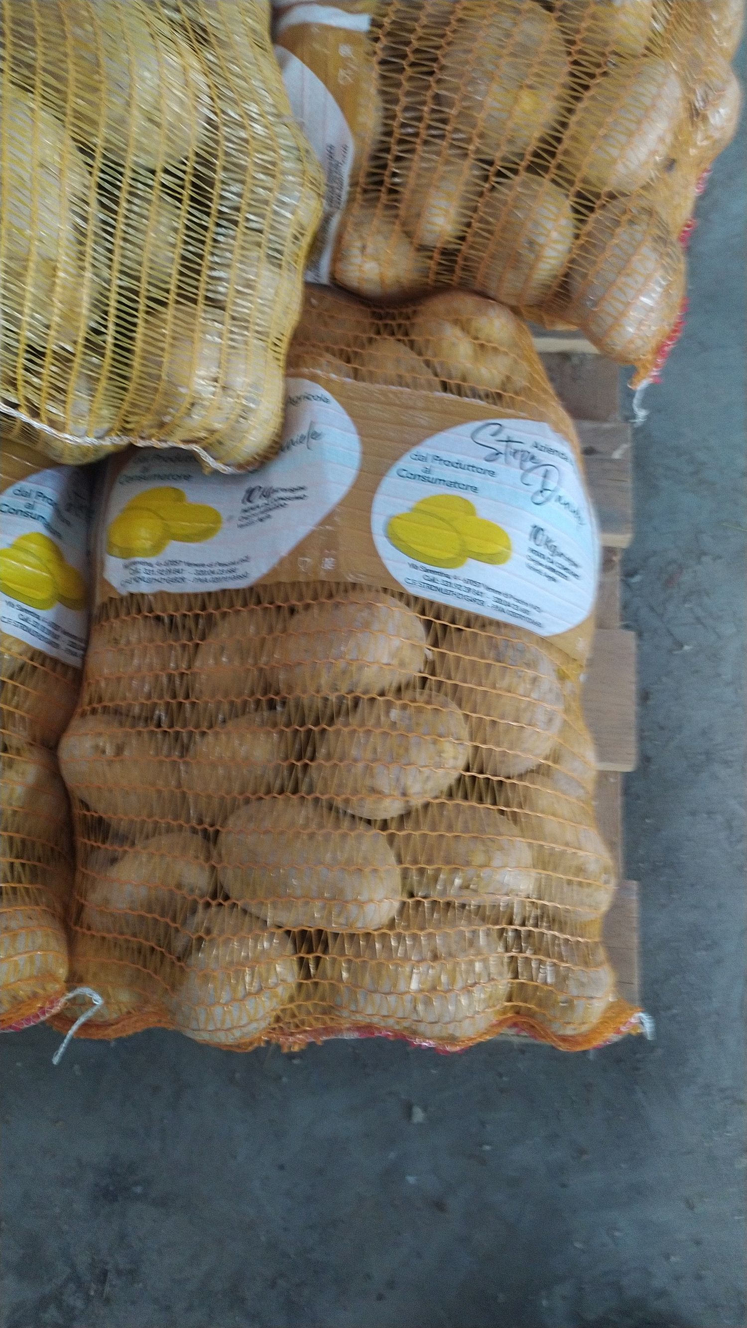 Patatas variedad Agria - 10 kg - Venus de Pescacina - Wikifarmer