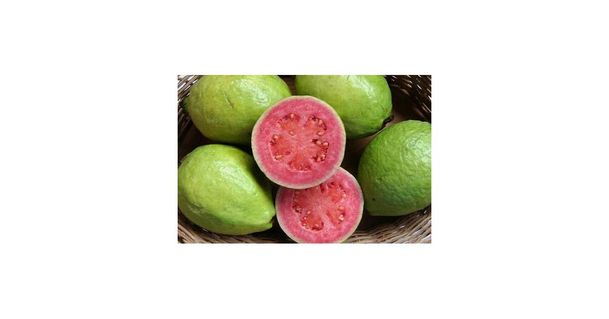 3KG GUAYABA ROSA. Envío gratis en la Península - Campo Olivar - Wikifarmer