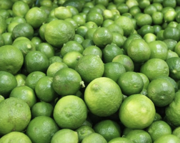 Citron vert Bearss - 1kg - Alzira - Wikifarmer
