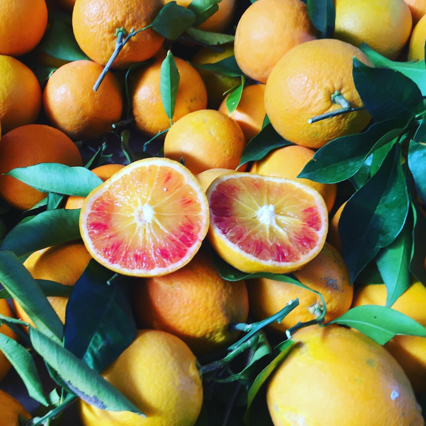 Oranges Tarocco - caisse de 20 kg - Syracuse - Wikifarmer