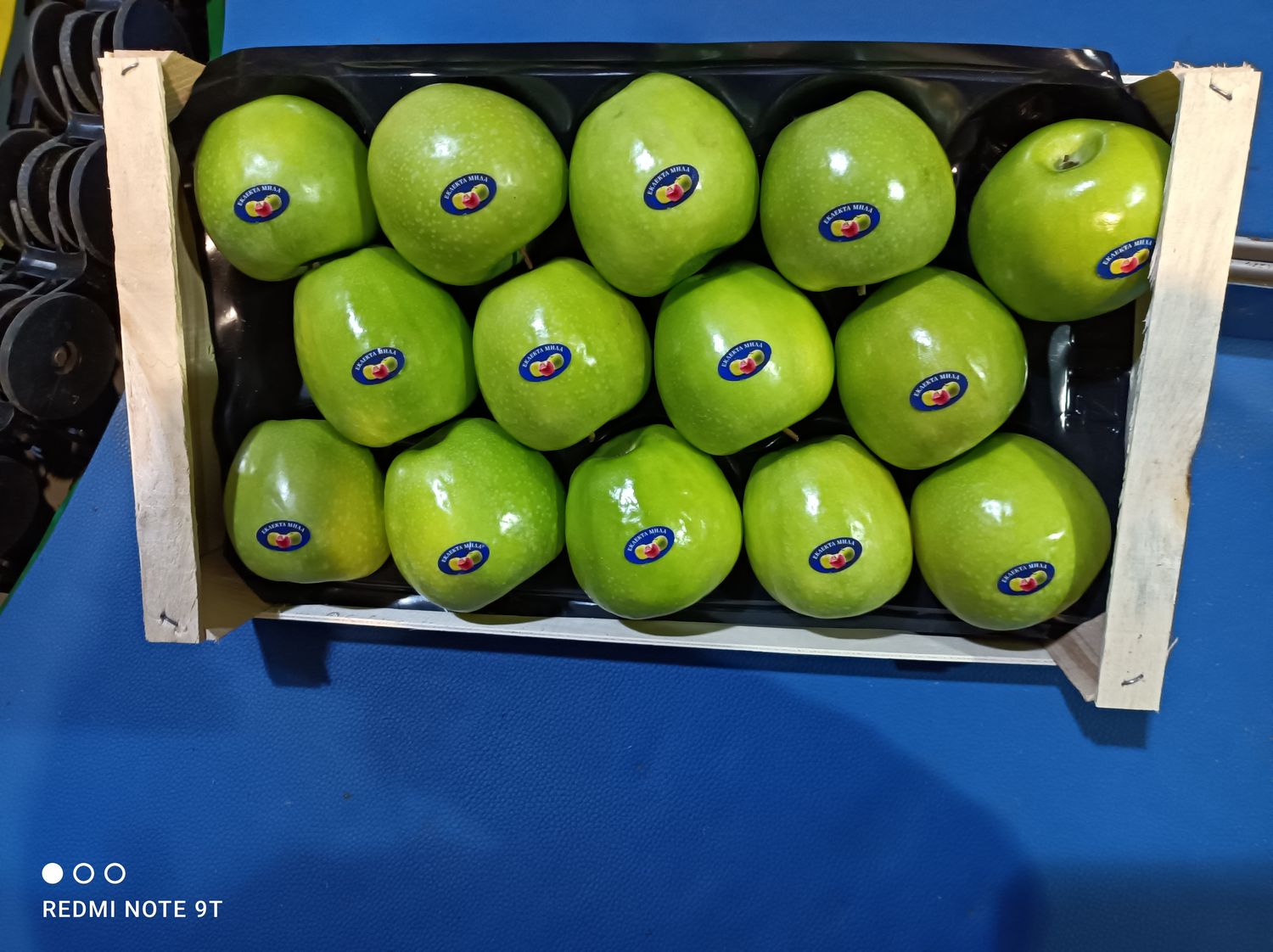 Mele Granny Smith categoria I - 1 kg (Fila singola) - Alexandreia ...