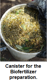 How to compose and use biofertilizers safely and effectively - Wikifarmer