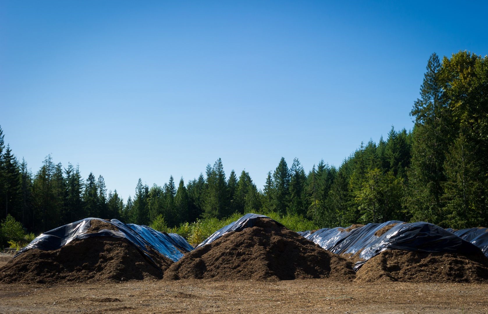 The Ultimate Guide to Industrial Composting - Wikifarmer