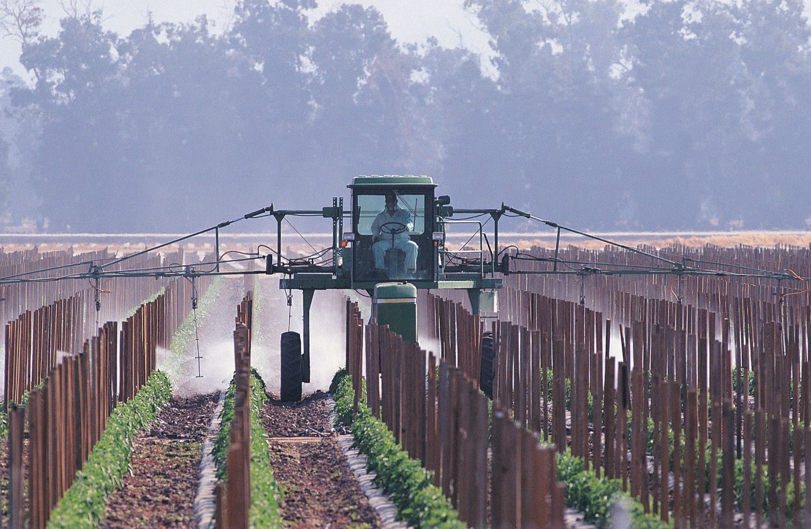 Wikifarmer Homepage English - Wikifarmer